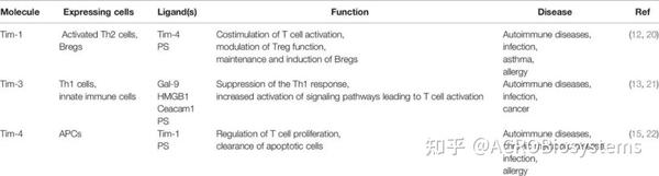 Nature重磅！B细胞免疫检查点TIM-1，提供肿瘤治疗新思路 - 知乎