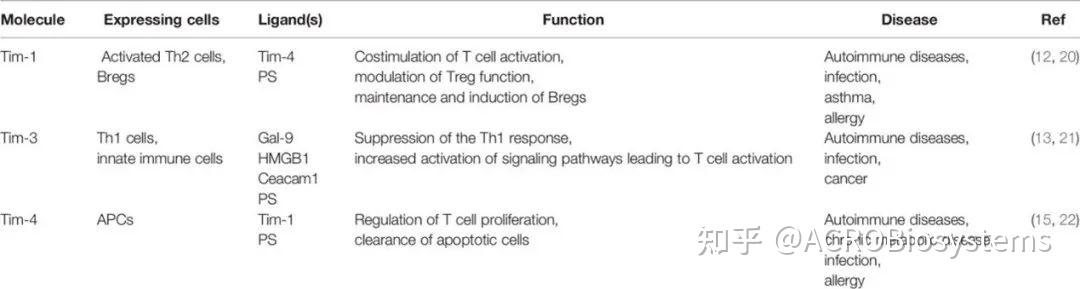 Nature重磅！B细胞免疫检查点TIM-1，提供肿瘤治疗新思路 - 知乎