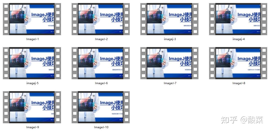 ImageJ如何做出高颜值SCI配图？看完直接冲上5分+！（附实用插件） - 知乎