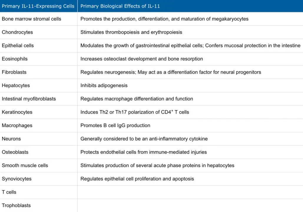 Nature新发现！促炎蛋白IL-11意外解锁衰老密码？ - 知乎