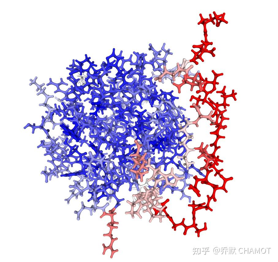 关于成纤维生长因子之bFGF - 知乎