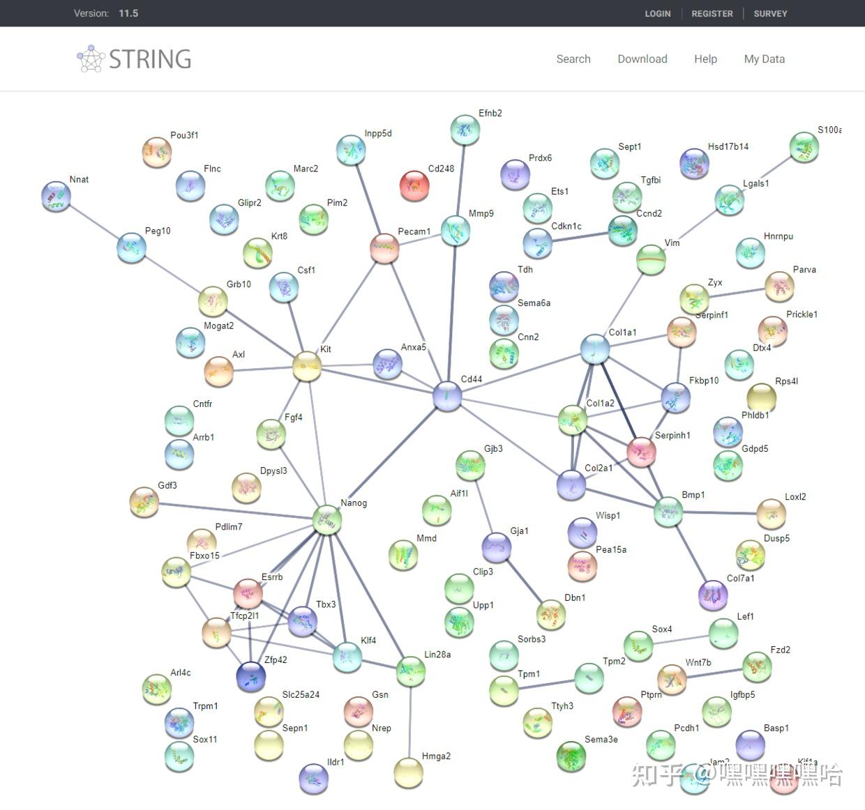 RNA-seq入门实战（九）：PPI蛋白互作网络构建（上）——STRING数据库的使用 - 知乎