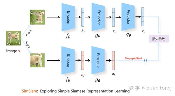 迅速了解SimSiam - 知乎