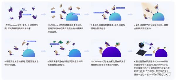 SomaLogic在中国首个新一代蛋白质组学检测服务平台落地云准科技实验室！ - 知乎