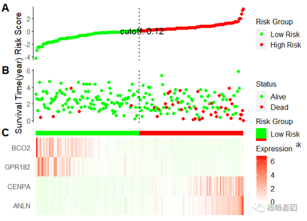 RNA 23. SCI文章中表达基因Cox模型的风险因子关联图（ggrisk） - 知乎