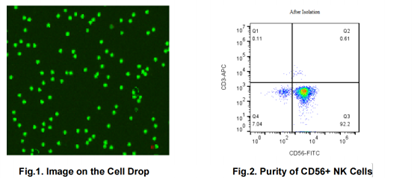 IPHASE/汇智和源 抗体依赖细胞介导的细胞毒作用（ADCC效应） - 知乎