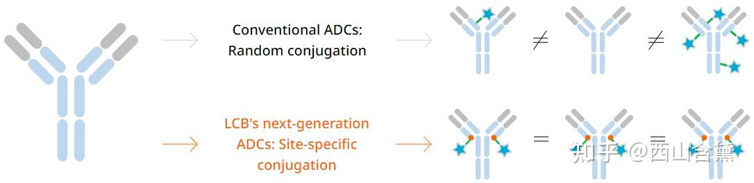 国内外知名企业ADC技术平台(第六期，LegoChem） - 知乎