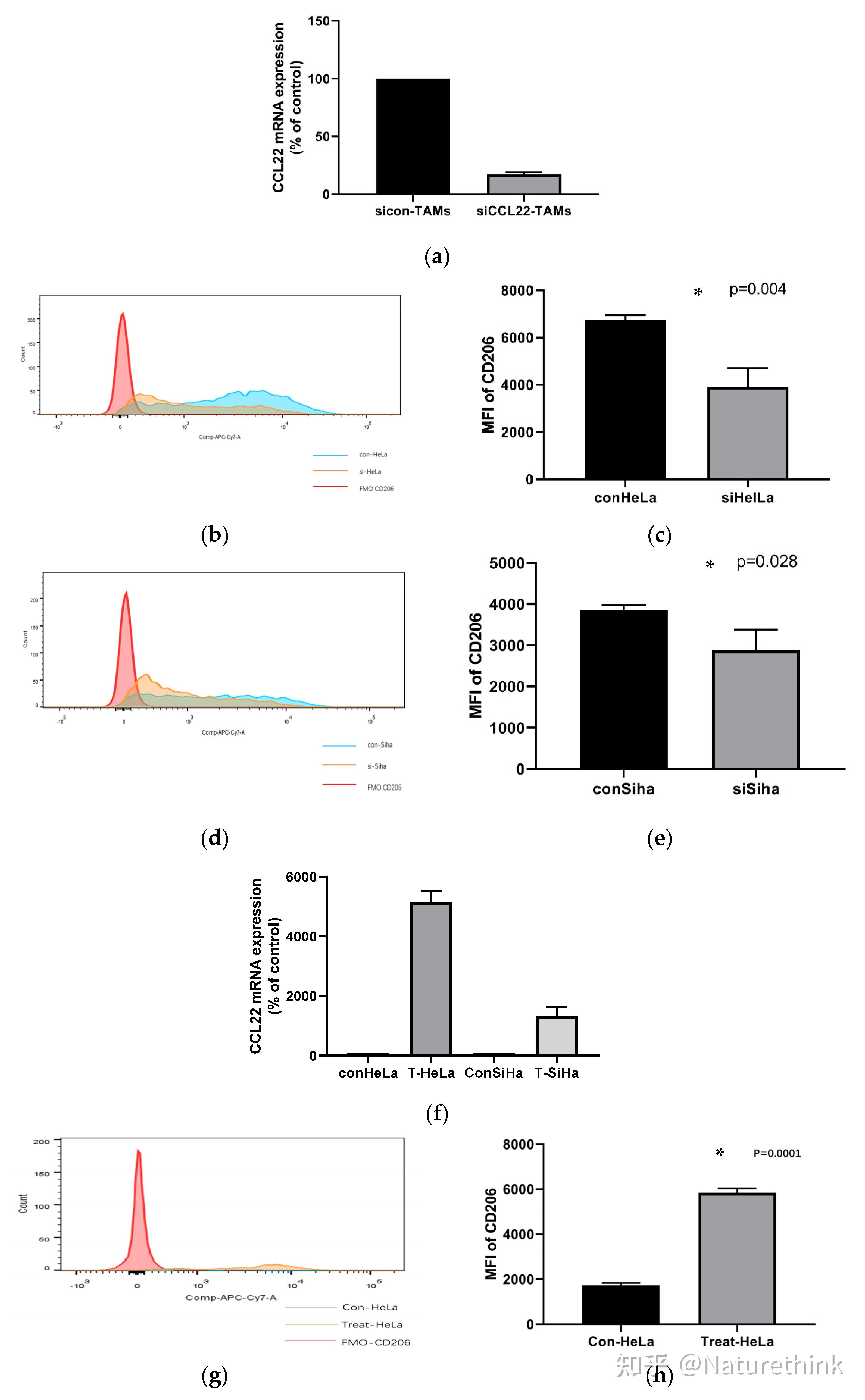 宫颈癌体外模型中CCL22极化TAMs 到 M2a巨噬细胞 - 知乎
