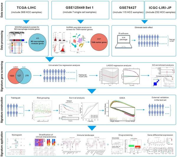 scRNA联合bulk RNA-seq又一新思路，快来学习！ - 知乎