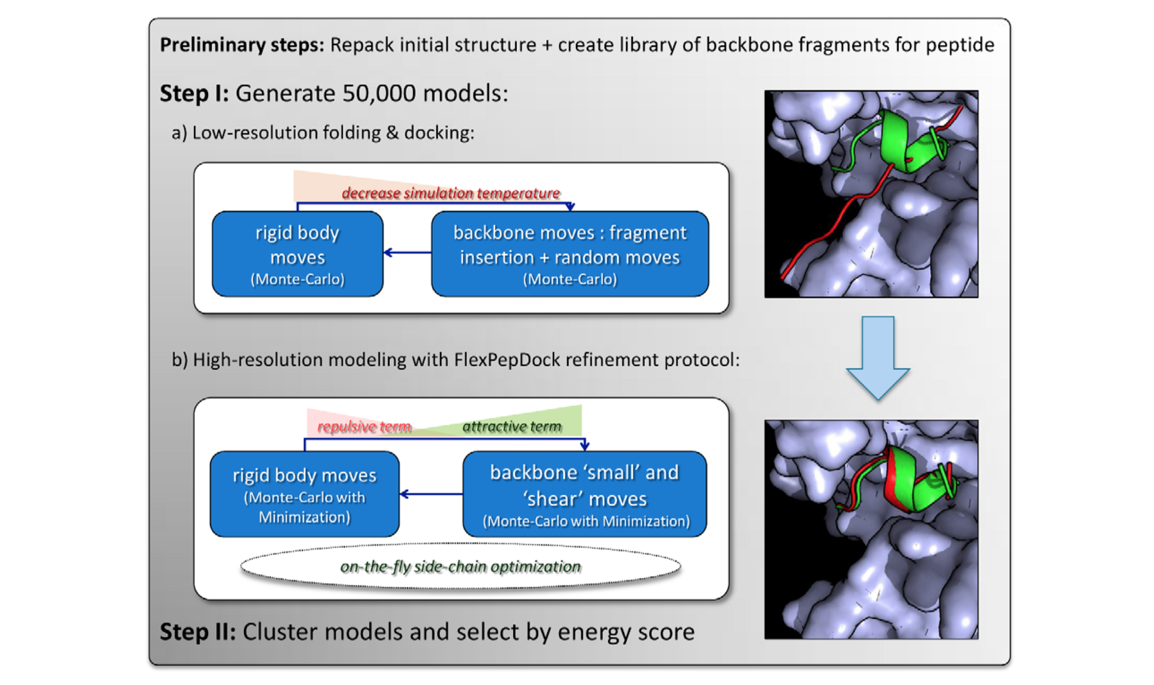 Rosetta FlexPepDock: 柔性多肽对接 - 知乎