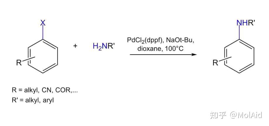有机人名反应——Buchwald–Hartwig Cross Coupling - 知乎