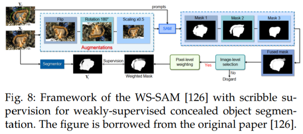 综述：分割一切模型(SAM)的全面调研 - 知乎