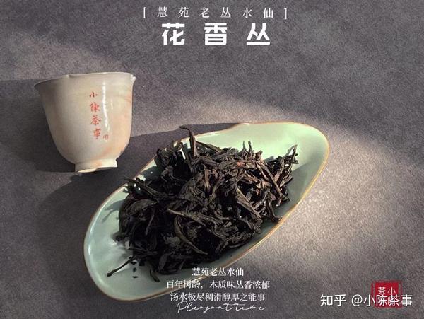 泡白茶、岩茶、红茶,都要定点旋冲?掌握这个方法,越泡越好喝? 知乎