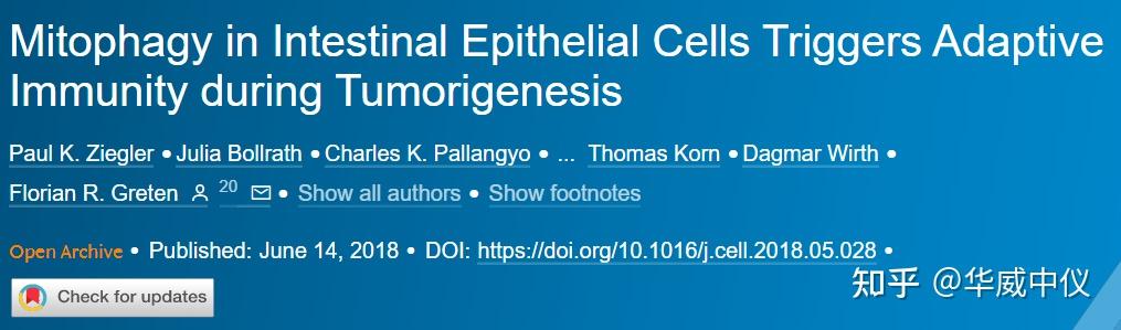 2022年OROBOROS O2k能量代谢相关文章锦集 - 知乎