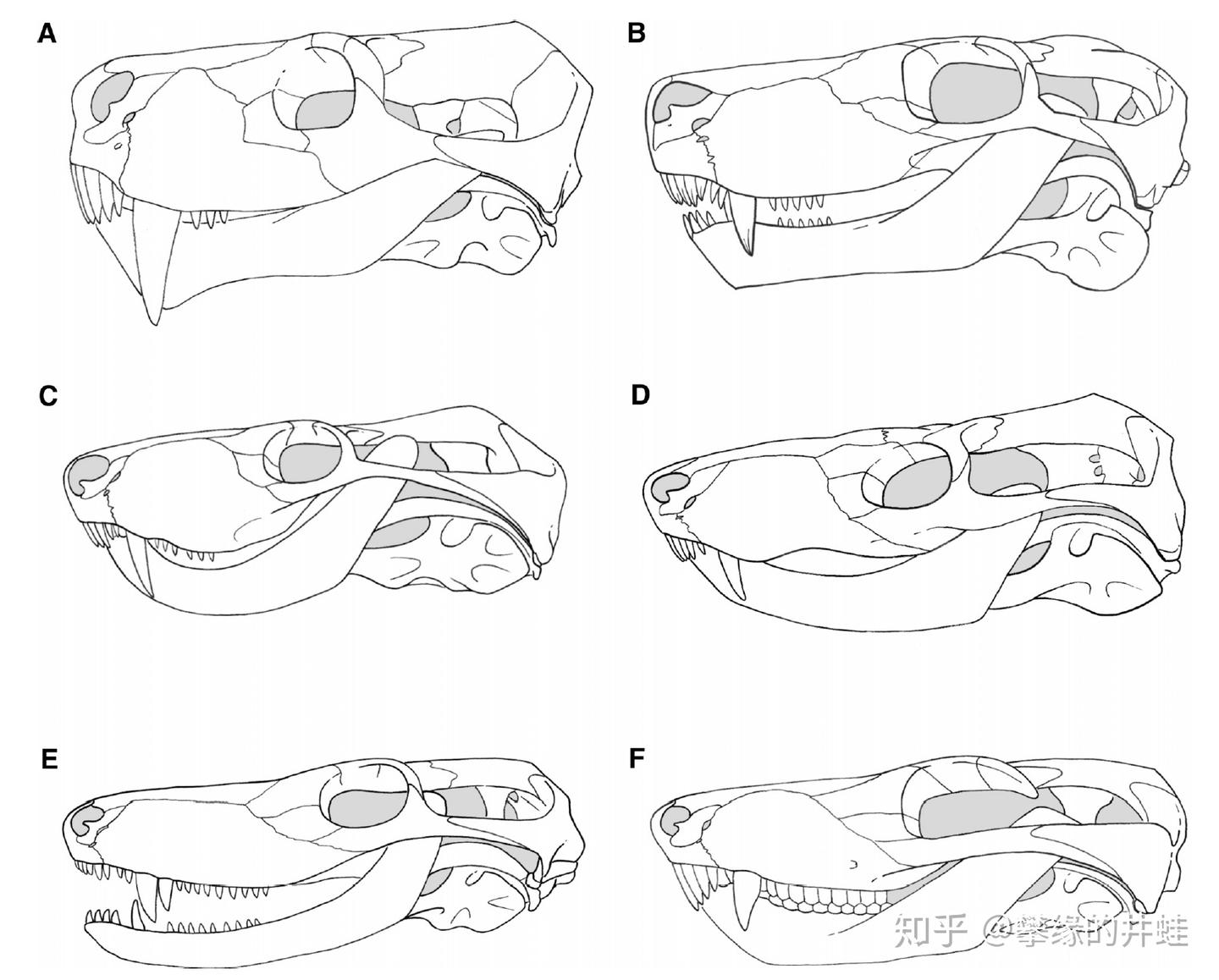 第二百五十六回 百兽图9：白云苍狗 - 知乎