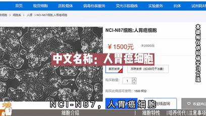 NCI-N87细胞培养，人胃癌细胞培养攻略 - 丰晖生物 - 知乎
