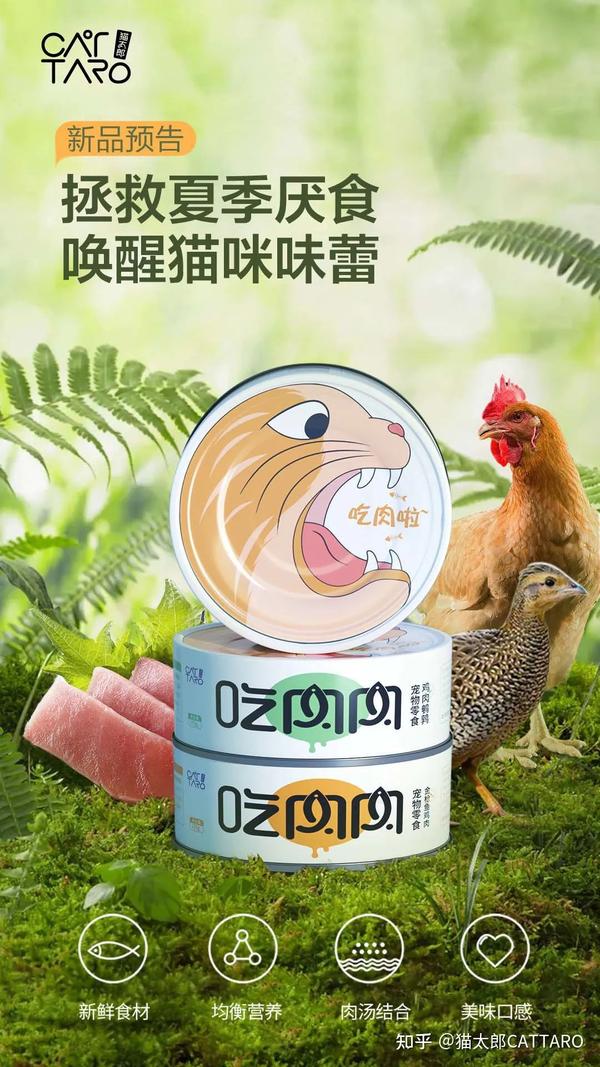 喵喵假期不宅家，猫太郎CATTARO带你畅游它博会 - 知乎