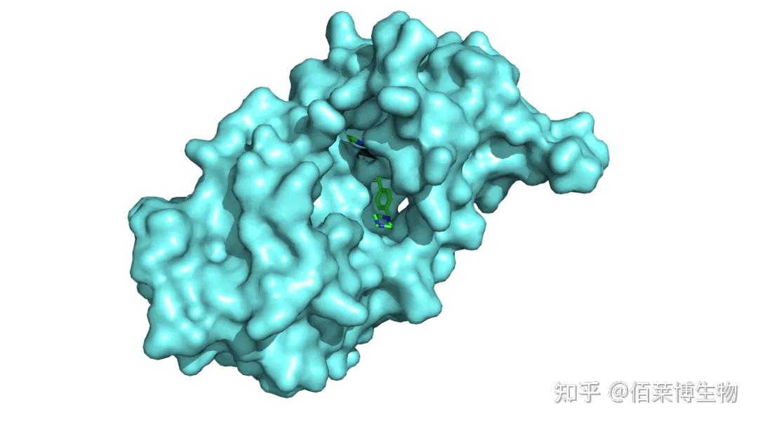 分子对接（molecular docking）技术服务 - 知乎