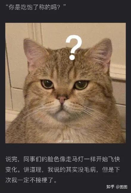 英语谐音梗能有多好笑哈哈哈被彻底玩坏了 知乎