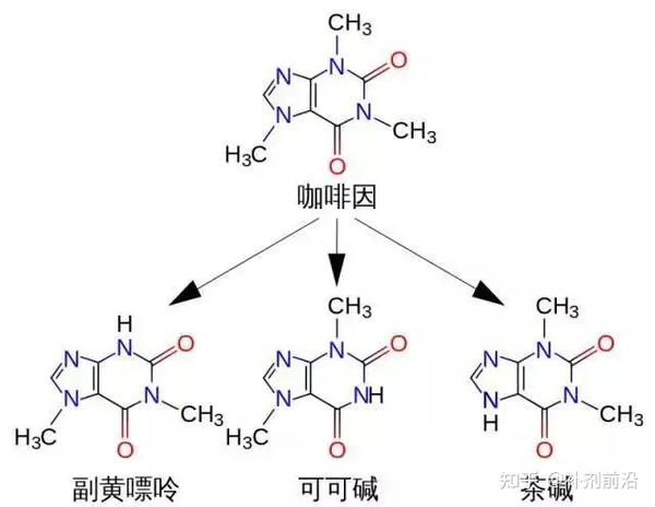 替代咖啡因的最佳成分-NNB®Enfinity®（副黄嘌呤），来自未来的“无限能量” - 知乎
