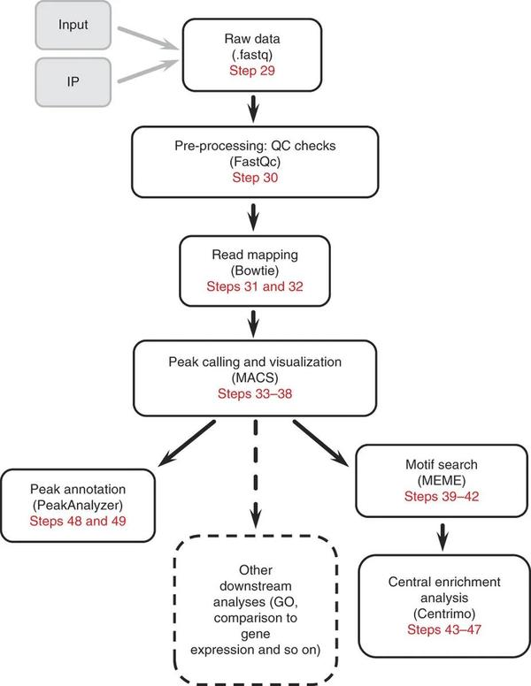 m6A甲基化数据分析流程 - 知乎