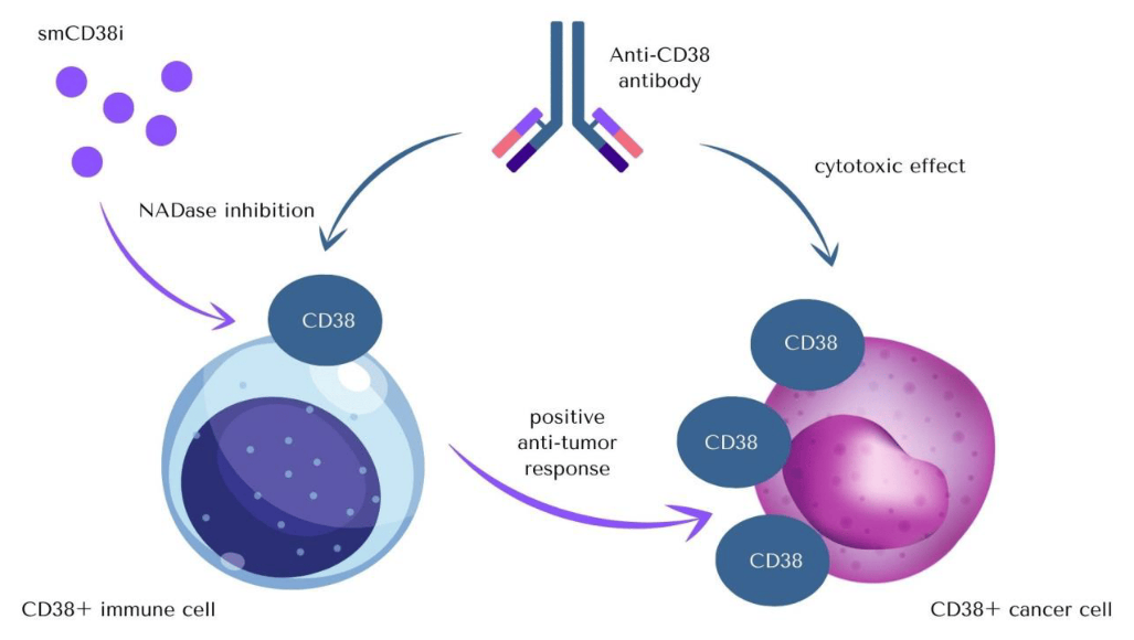 国内第2款CD38单抗艾沙妥昔单抗获批上市，多发性骨髓瘤患者迎来新的治疗选择 - 知乎