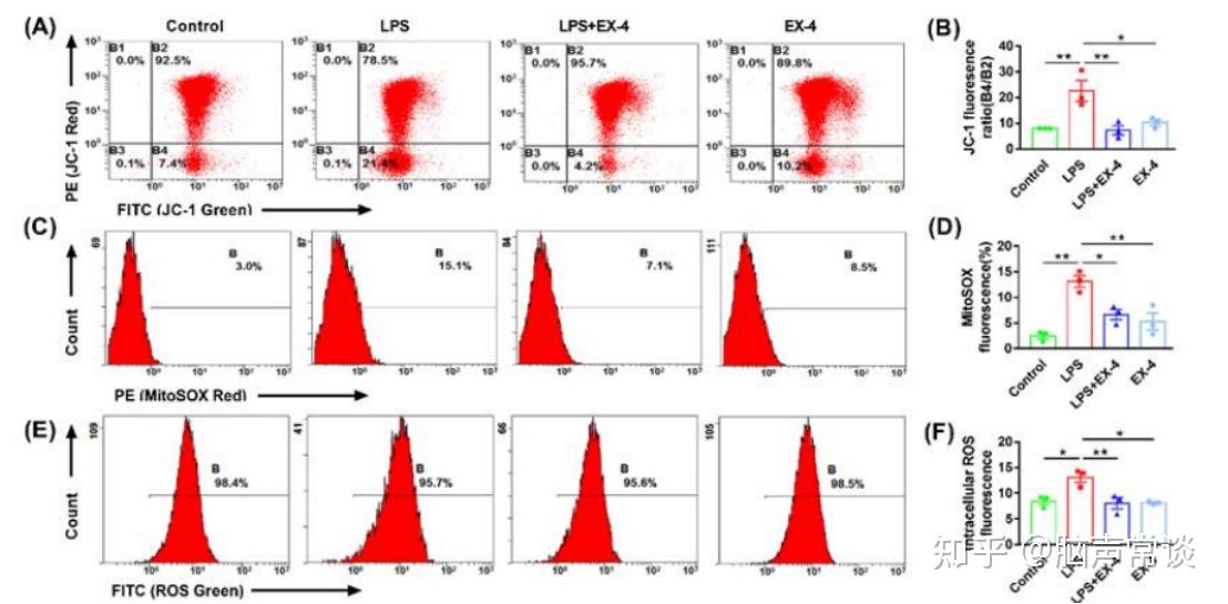 第四军医大学药学系刘水冰与马雪课题组揭示GLP-1受体通过调控小胶质细胞线粒体自噬缓解糖尿病小鼠抑郁样行为 - 知乎