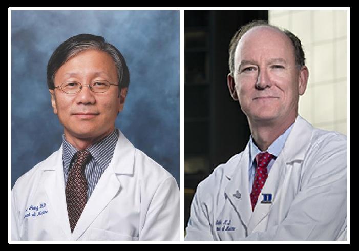 J Exp Med︱蒋典华团队揭示HER2是调控肺成纤维细胞侵袭和肺纤维化新靶点 - 知乎