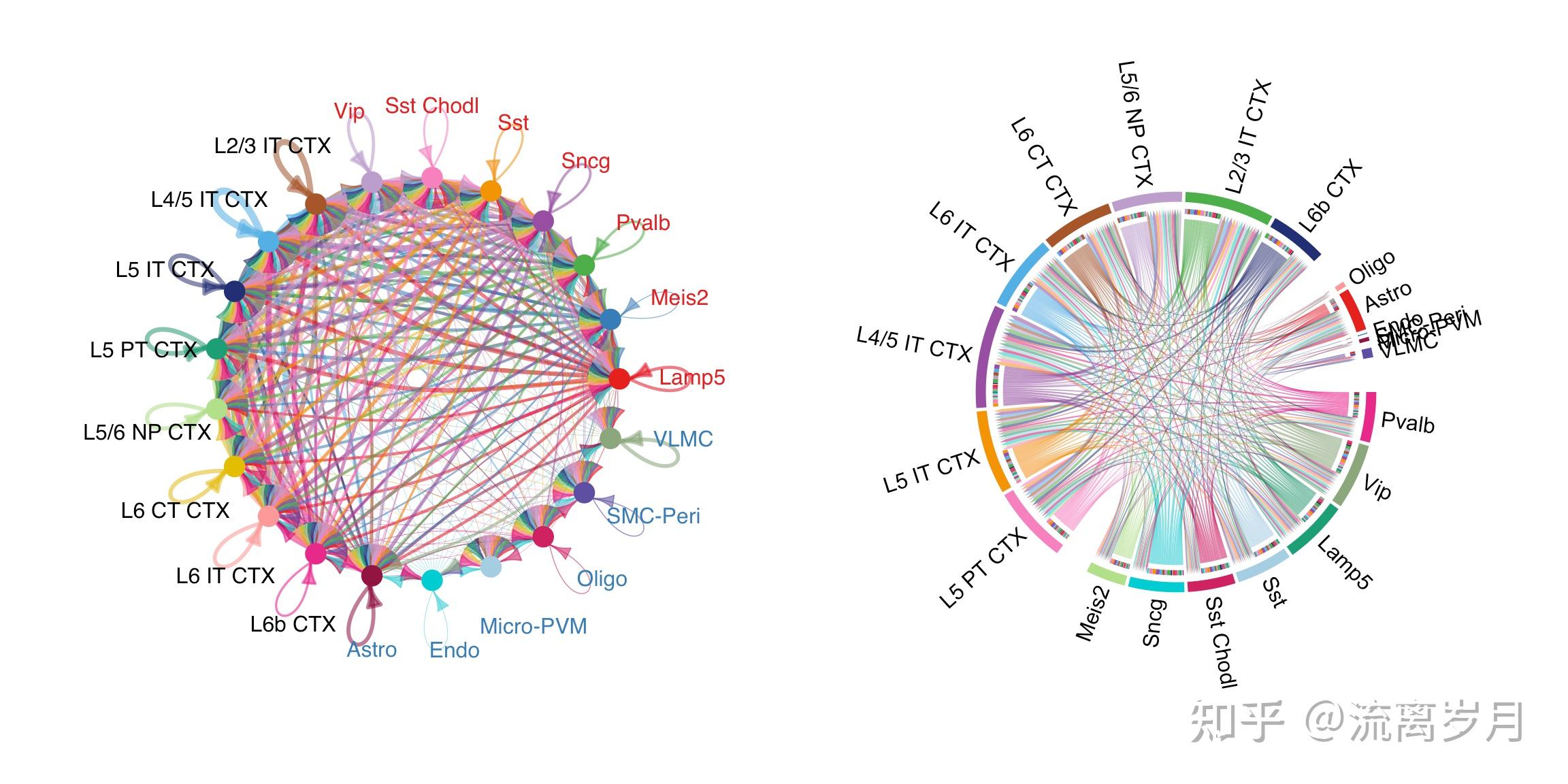 特异性预测神经细胞通讯信号的软件-NeuronChat（一） - 知乎