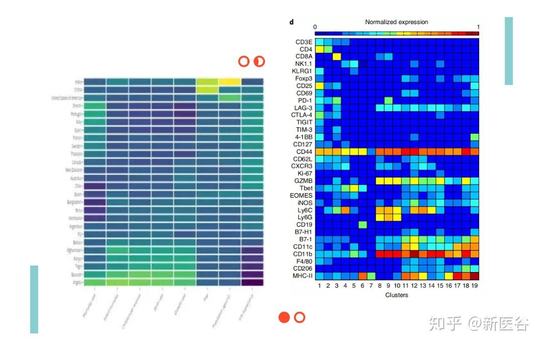 读文献先读图——文献中最热的热图怎么看 - 知乎