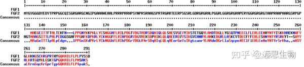 FGF2：纷繁复杂的调控因子 - 知乎