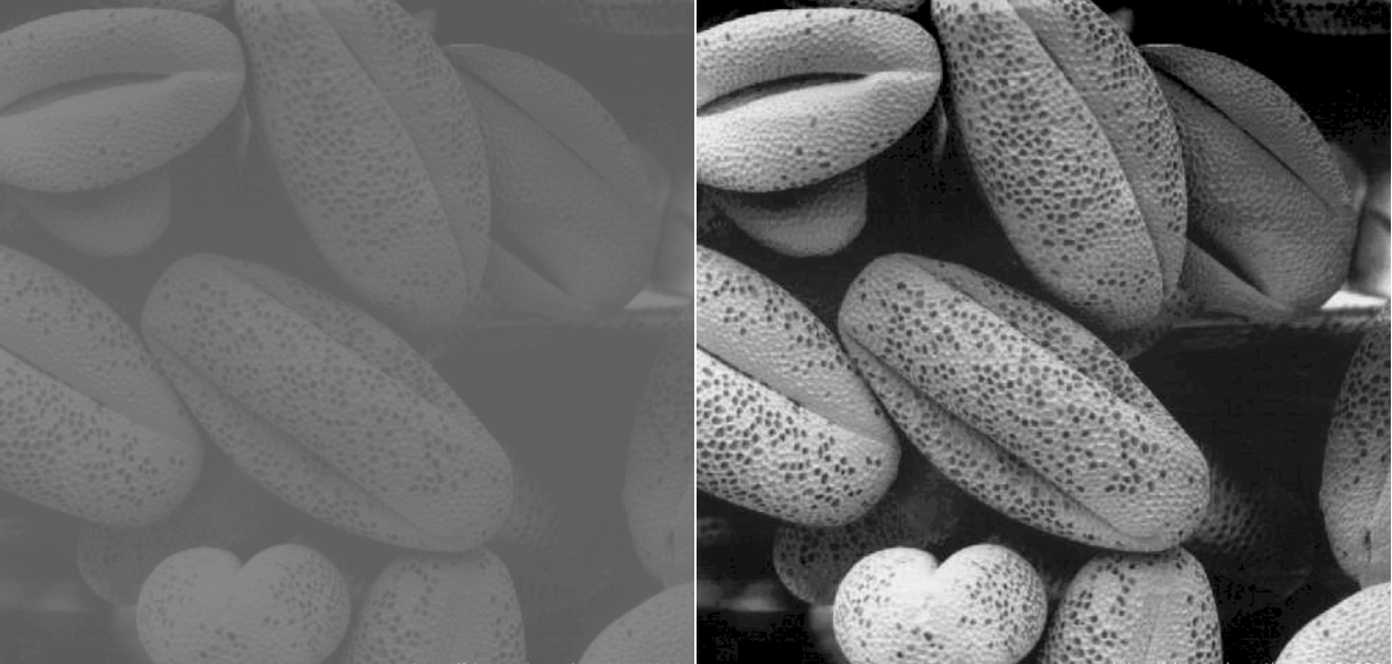 Image Enhancement - CLAHE - 知乎