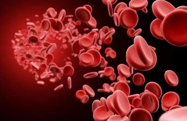 KASP™ 技术在 SNP 基因分型方面的应用 - 知乎