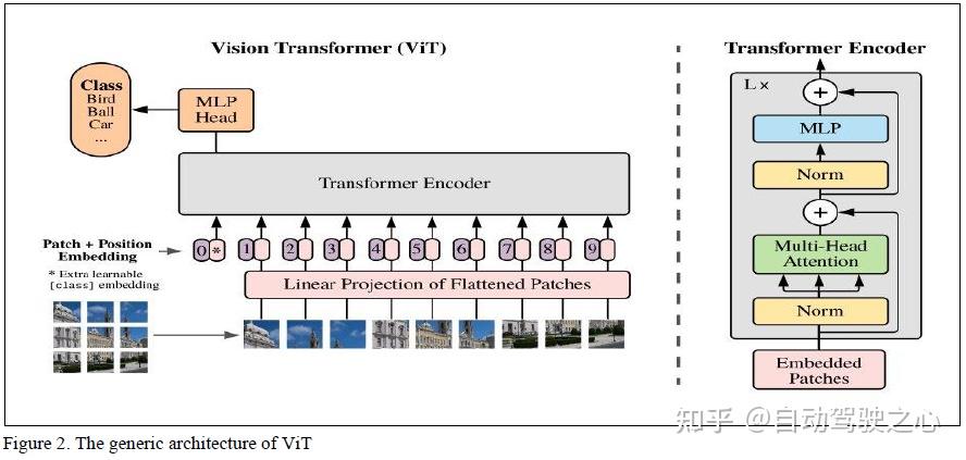 最新轻量级vit综述！后Transformer时代如何发展？ - 知乎