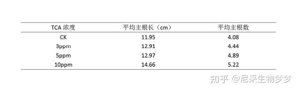 TCA®对小麦根生促长的影响实验 - 知乎
