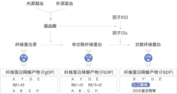 怎么看凝血检测中的D-二聚体与FDP？ - 知乎