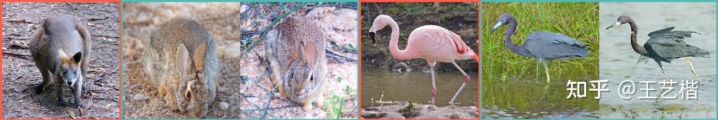 Next Visual Granularity Generation: 一种结构递进的图像生成方法 - 知乎