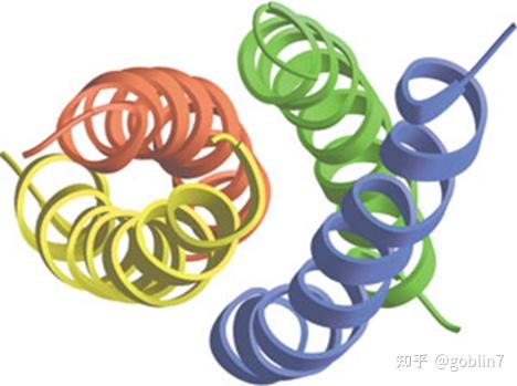 文献阅读——Structure-based design of a quadrivalent fusion glycoprotein ...
