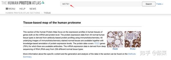 仙桃学术 | 仙桃风单基因乳腺癌MCTS1 - 知乎