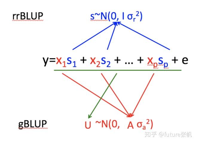 利用GAPIT进行gwas和gs分析（附带方法介绍） - 知乎