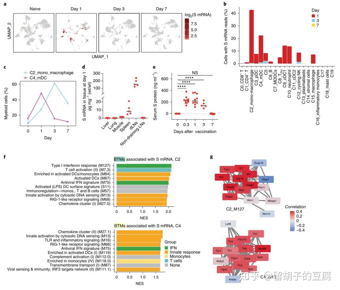 新冠|辉瑞BNT162b2 mRNA疫苗的免疫机制 - 知乎