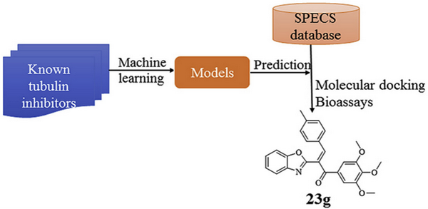 MaXFlow案例复现 | 靶向微管蛋白秋水仙碱位点的药物发现：AIDD+CADD虚拟筛选 - 知乎