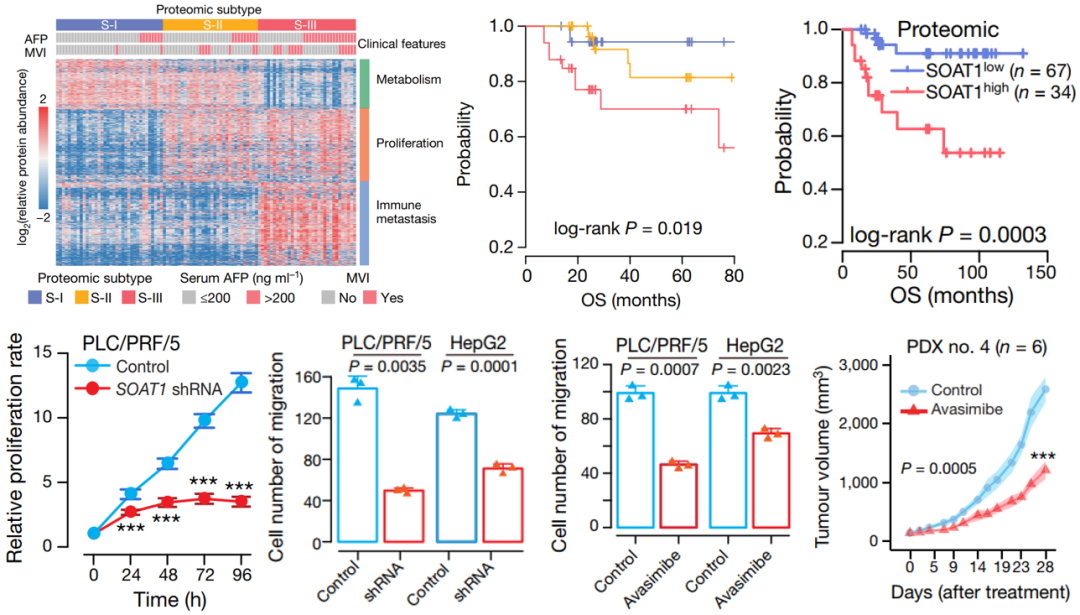生信干货 | 疾病分子分型全流程解析 - 知乎