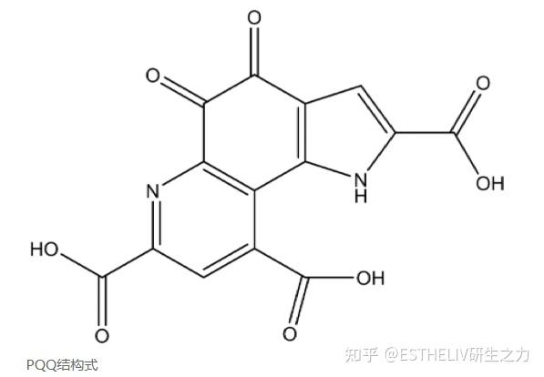 出道即热点的PQQ是什么？ - 知乎