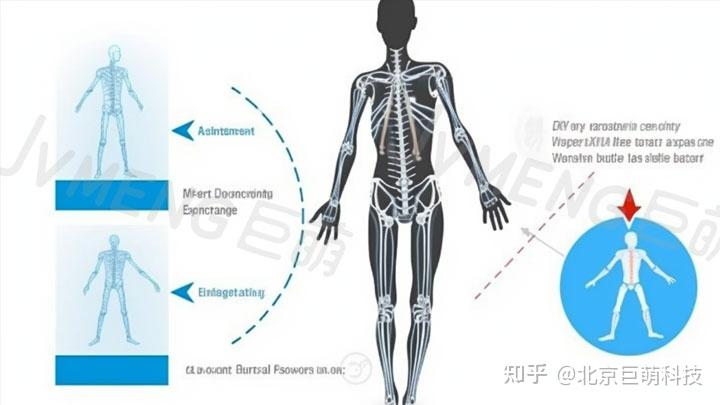 创新技术：利用视觉人体骨骼关键点检测算法实现高效动作捕捉 - 知乎