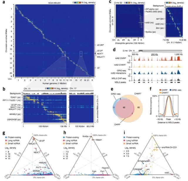振奋人心的3D基因组技术：GRID-seq探索RNA-DNA相互作用 - 知乎