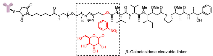 13-曜享干货 | 连接子（Linker）——mAb到ADC之路的关键 - 知乎