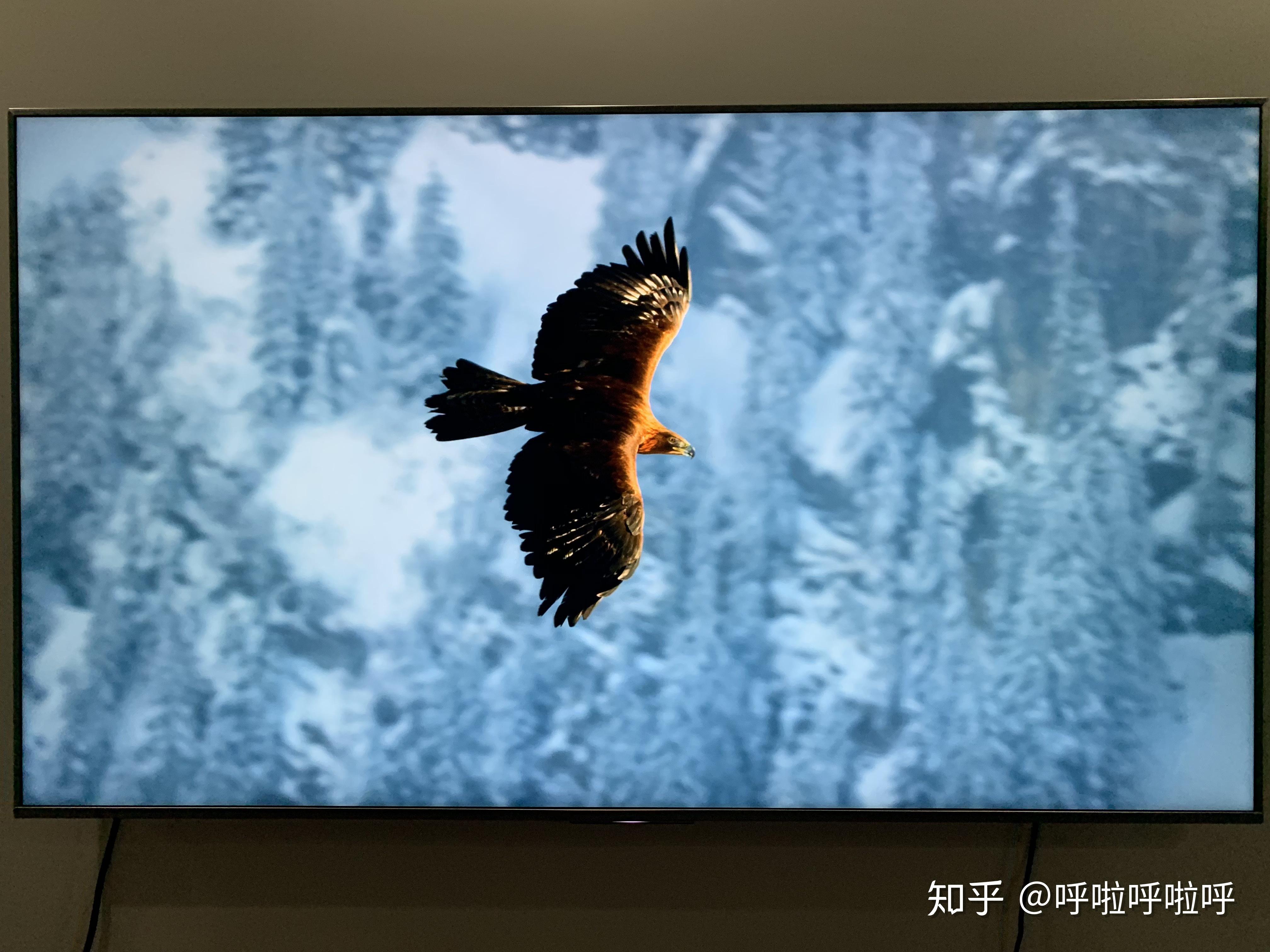 4K厅 篇一：4K纪录片究竟有多少？珍藏好这份全球最全4K超清蓝光纪录片清单（第1-10部） - 知乎