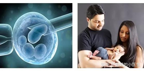 解读：卵子的生命源泉“线粒体” - 知乎