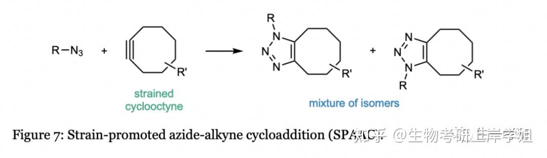 2022诺贝尔化学奖深度解析 | 生物正交化学，和生物考研有什么关系？ - 知乎